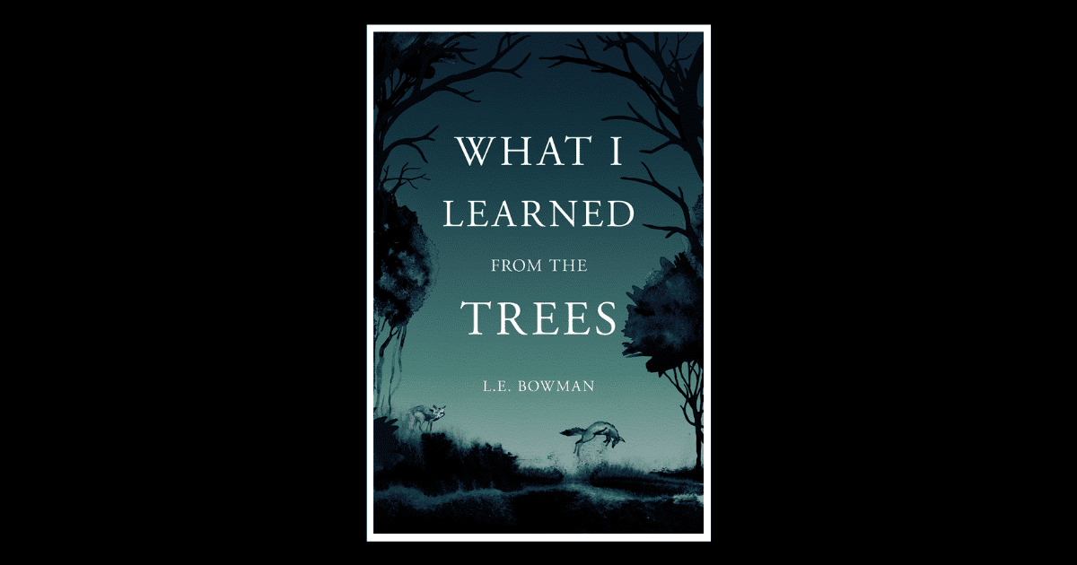 What I Learned from the Trees - Button Poetry