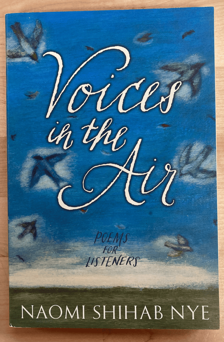 Voices in the Air: Poems for Listeners - Button Poetry